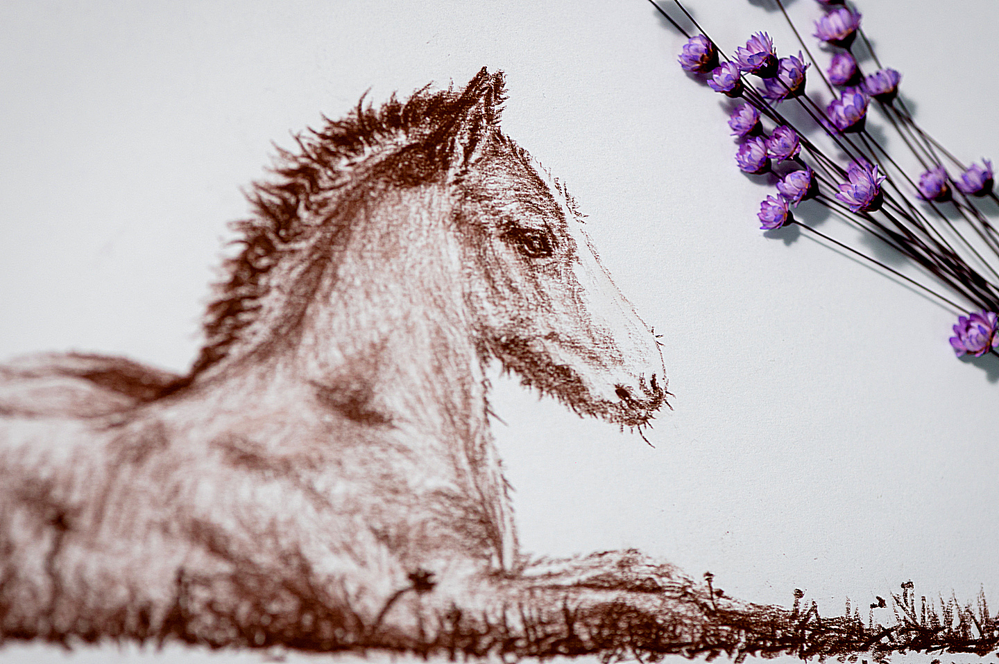 Home - Laura Banu - Visual artist