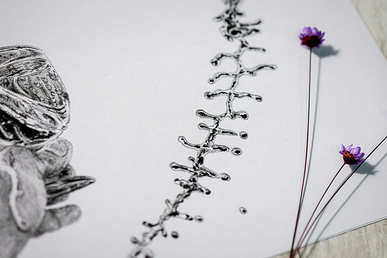 Home - Laura Banu - Visual artist